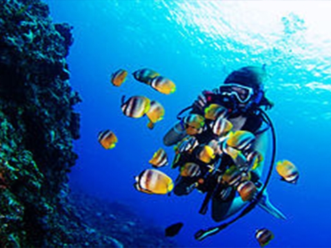 Scuba Diving-AMANDA HOTEL